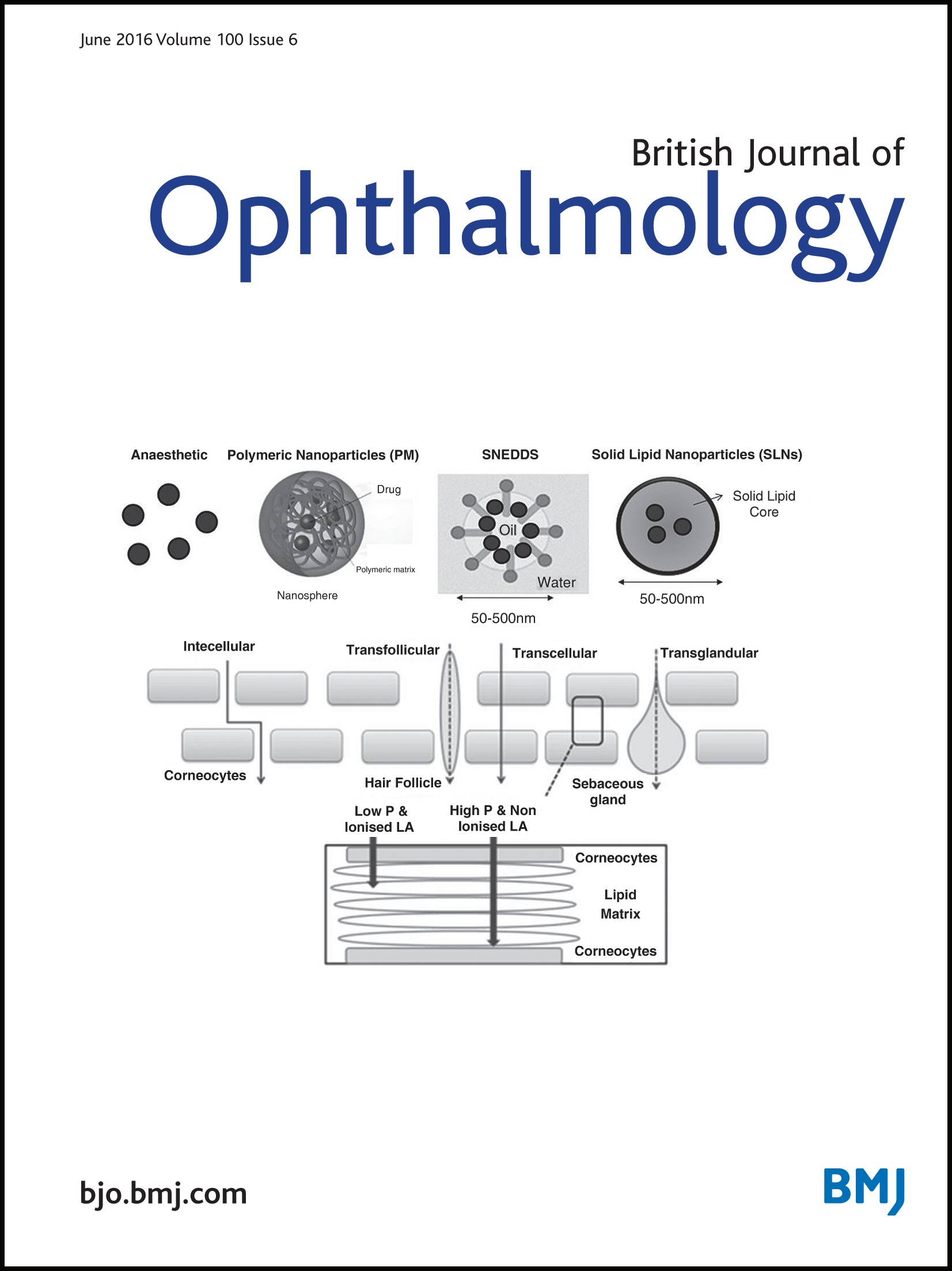 Ranibizumab 0.5 mg treat-and-extend regimen for diabetic macular oedema ...